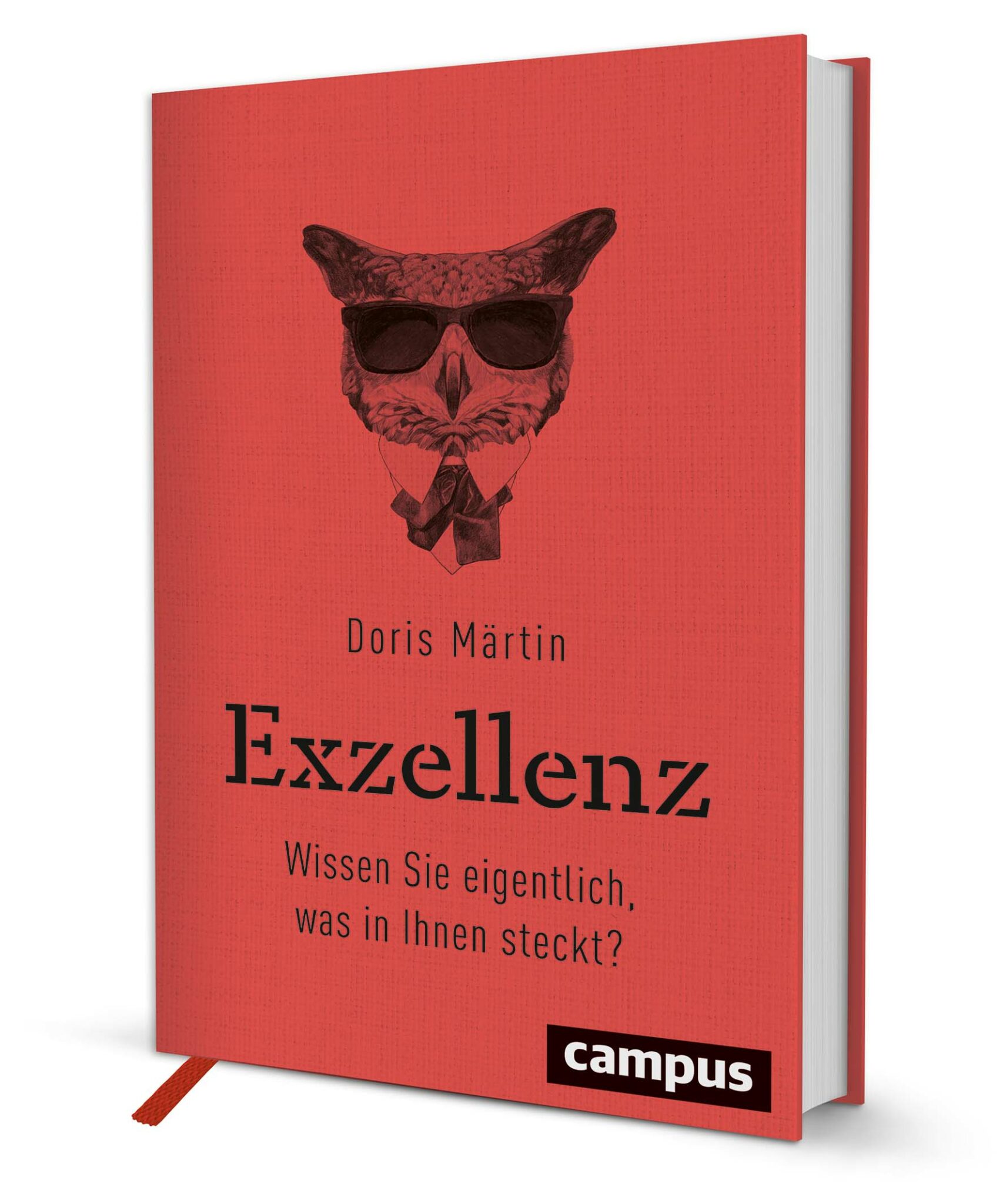 Exzellenz im Consulting-Job: Übertriff dich! | SQUEAKER